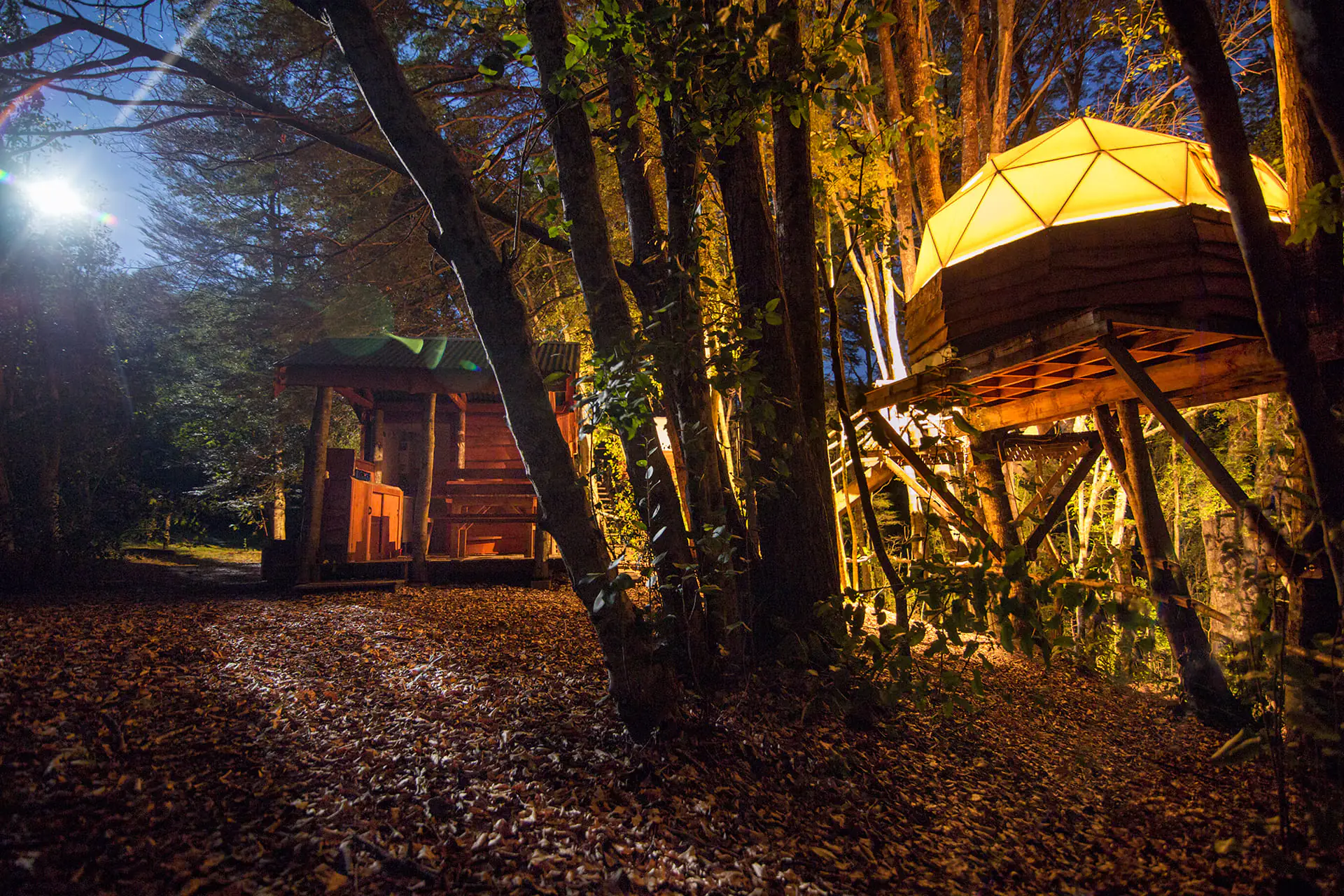 Domo Tree House 2 - Malalcahuello - Vórtice Chile | Glampi
